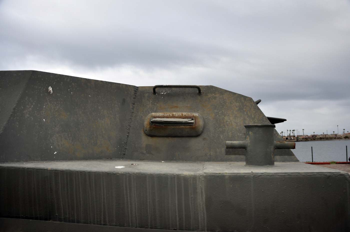 TOADMAN'S TANK PICTURES LVT3