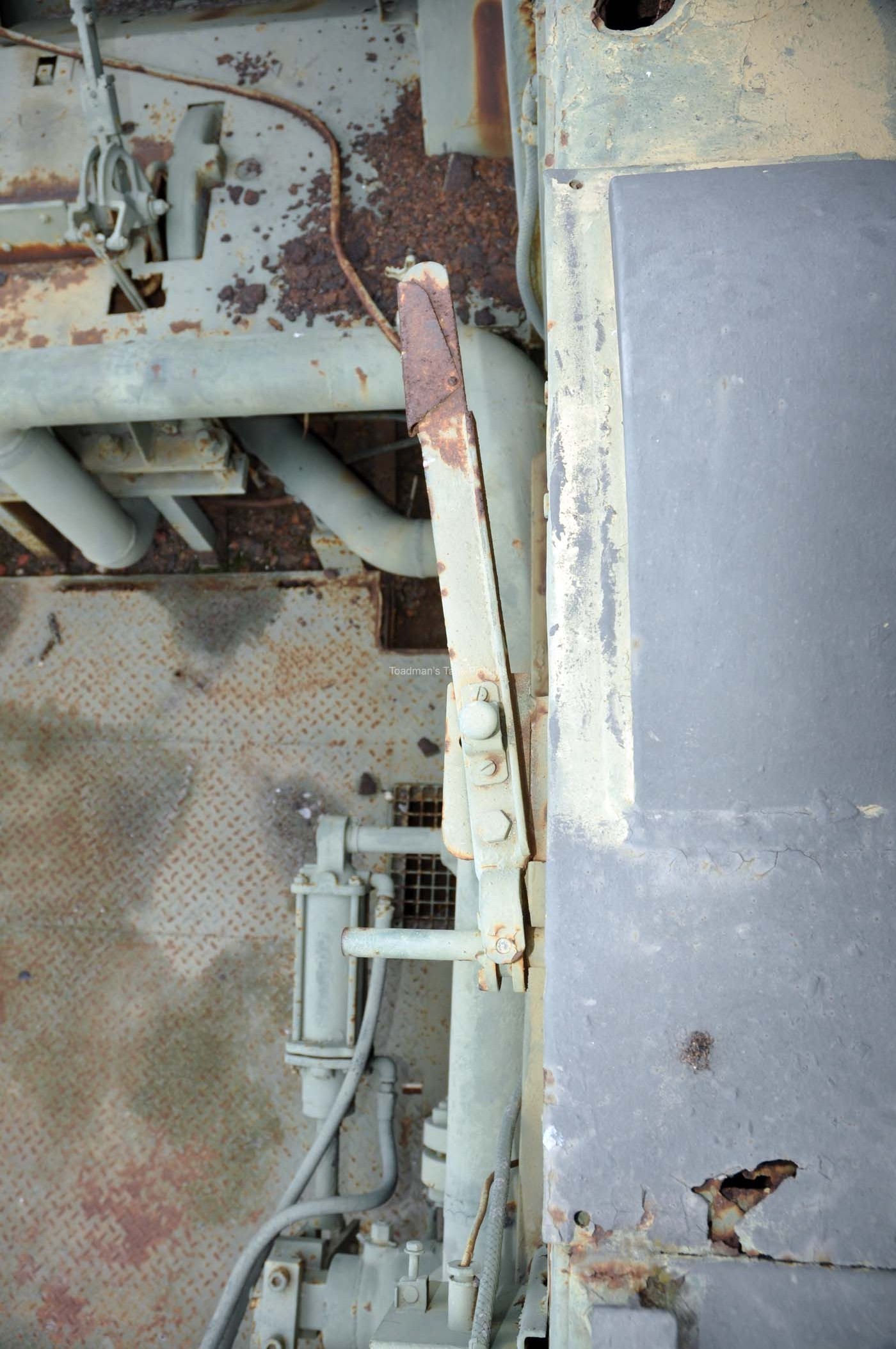 TOADMAN'S TANK PICTURES LVT3