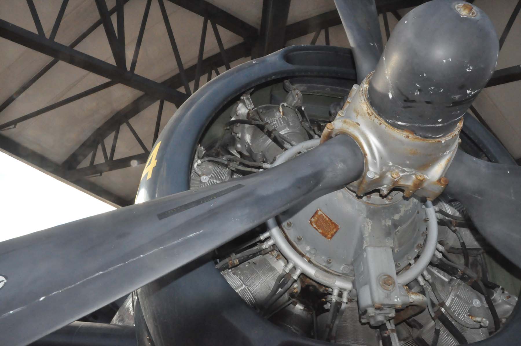 TOADMAN'S TANK PICTURES TBM-3E AVENGER